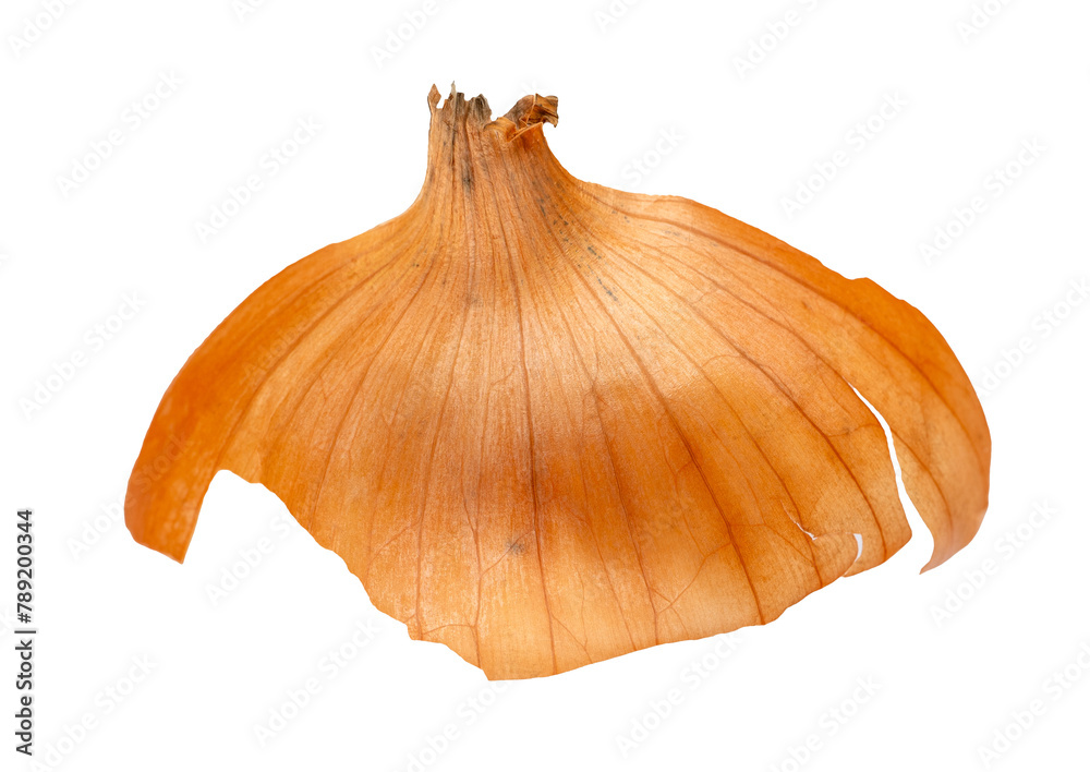 golden brown onion peel, textured onion flakes, isolated on a ...