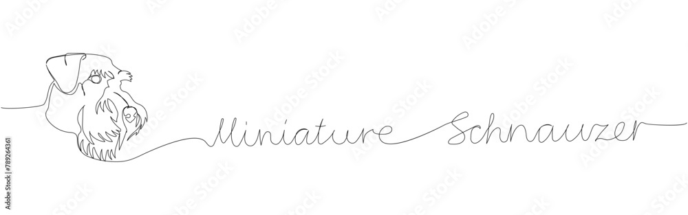 Miniature Schnauzer, Zwergschnauzer, dog breed, companion dog, service ...