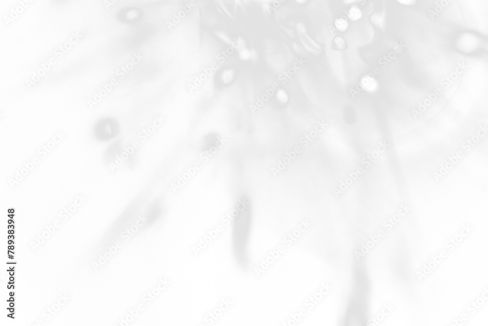 Lens flare png white light overlay effect on transparent background ...