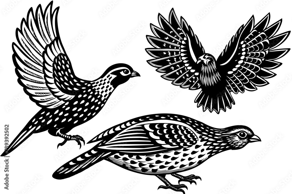 quail-roadrunner-grouse-flying-in-the-sky vector illusrtation Stock ...