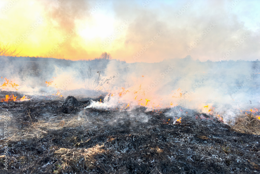Fire grass in farm field. Dry Grass Fires due to drought. Hot weather ...