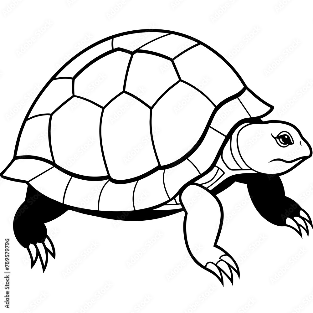 eastern box turtle silhouette vector illustration Stock Vector | Adobe ...