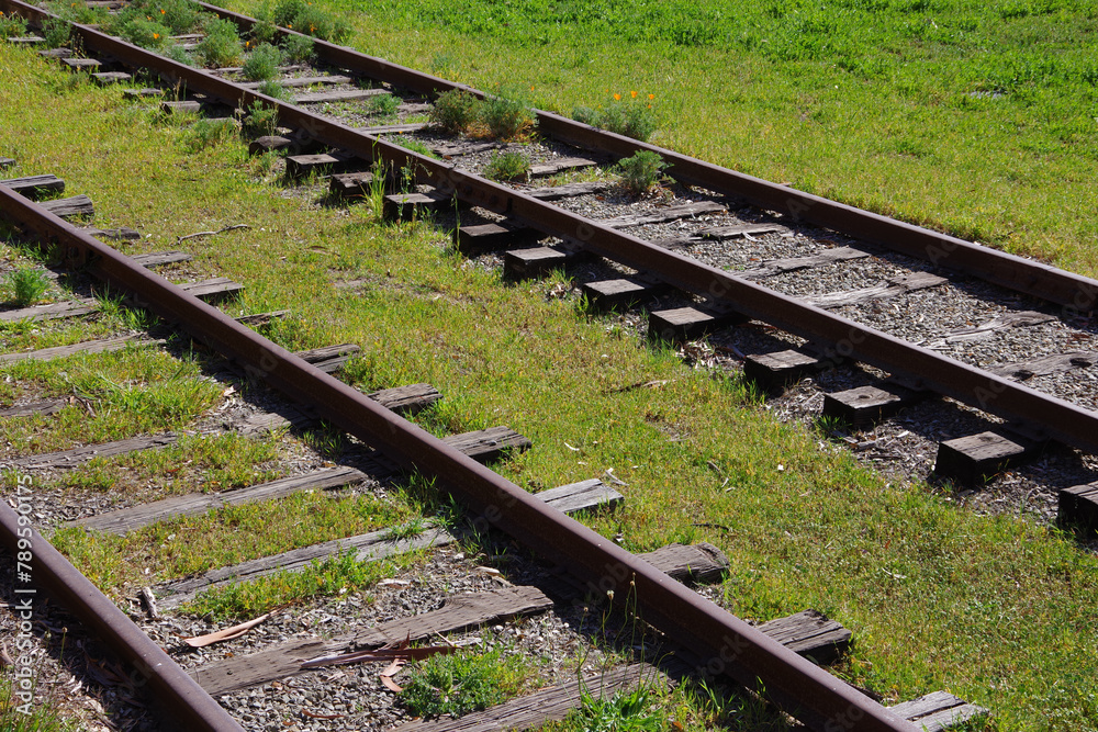 Old narrow gauge railroad tracks overgrown by grass and flowers Stock ...