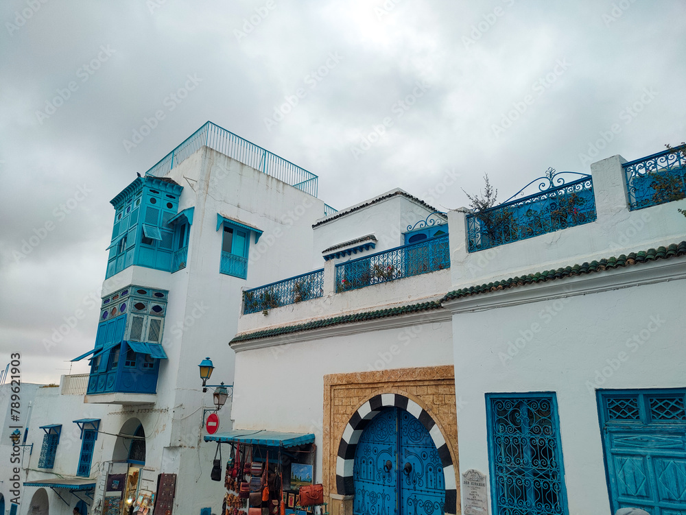 Sidi Bou Said, a famous village with traditional white and blue ...