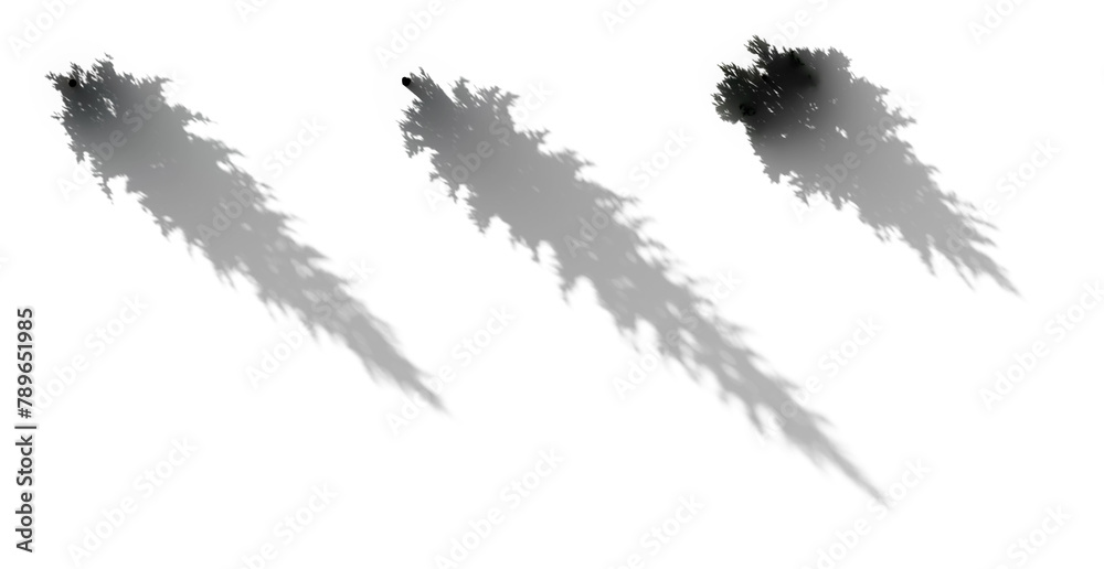 Realistic aesthetic shadow from fir picea pungens tree isolated png on ...