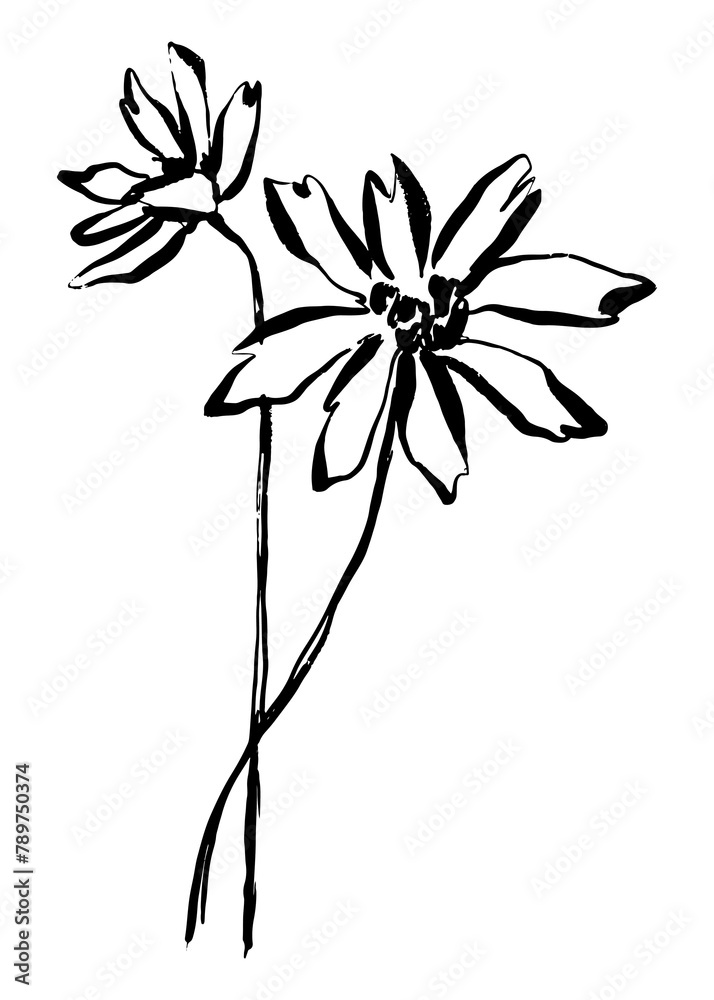 Png flower line art sticker, ink brush design on transparent background ...