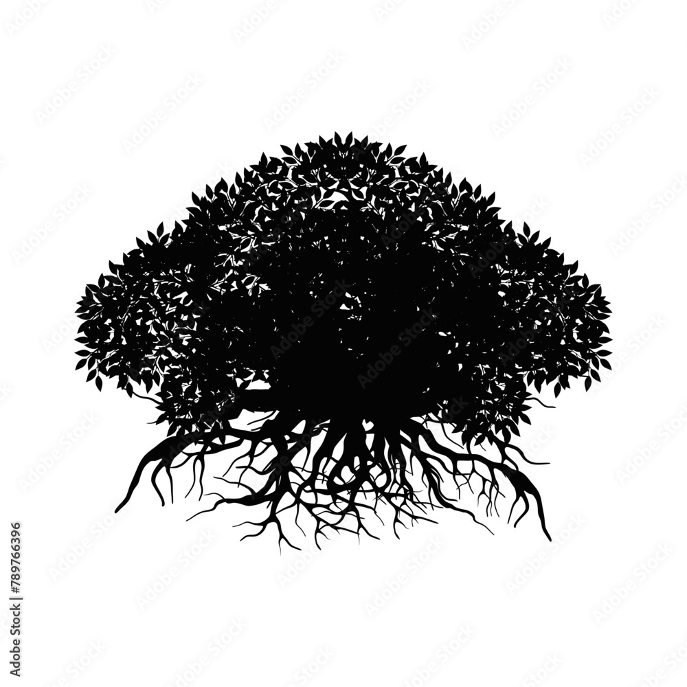 mangrove tree vector silhouette, black and white colors Stock Vector ...