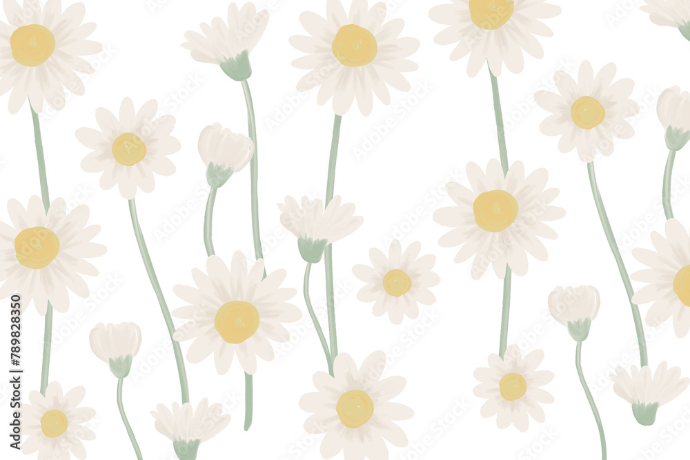 Daisy pattern png, transparent background, white flower design Stock ...