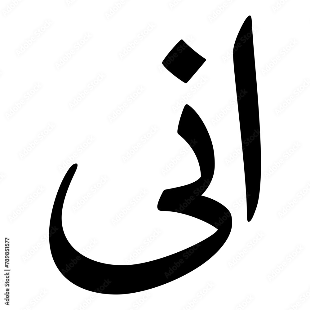 Anaya Muslim Girls Name Naskh Font Arabic Calligraphy Stock Vector ...