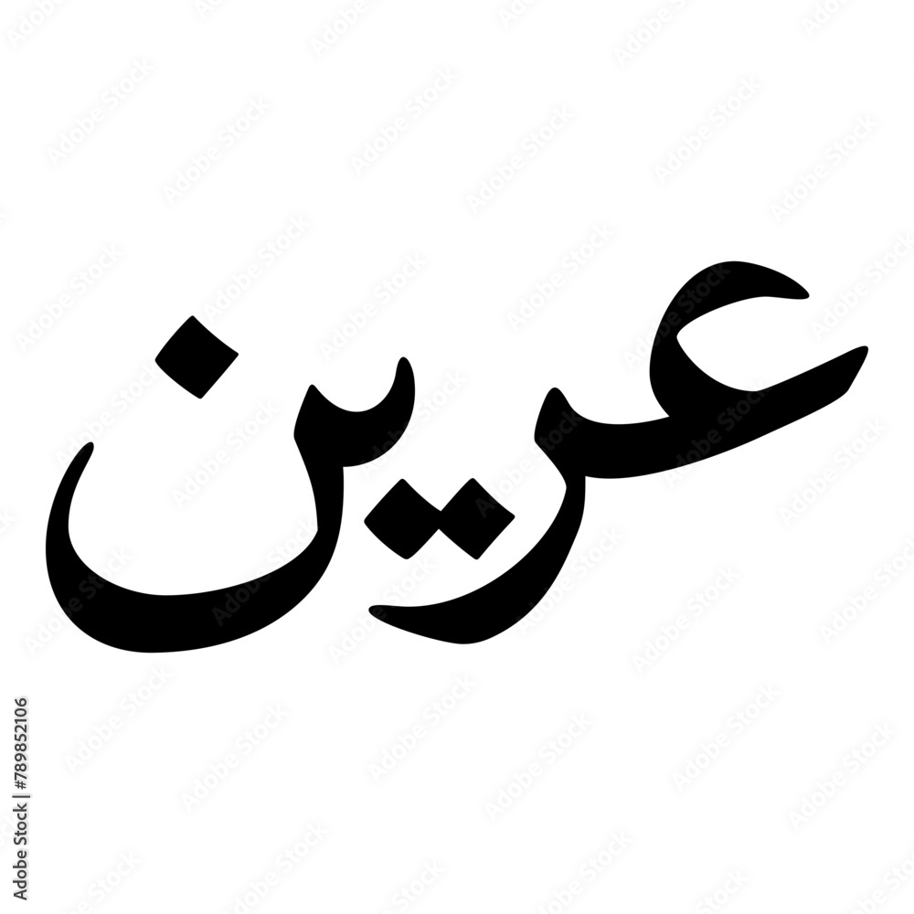 Aryan Muslim Girls Name Naskh Font Arabic Calligraphy Stock Vector ...