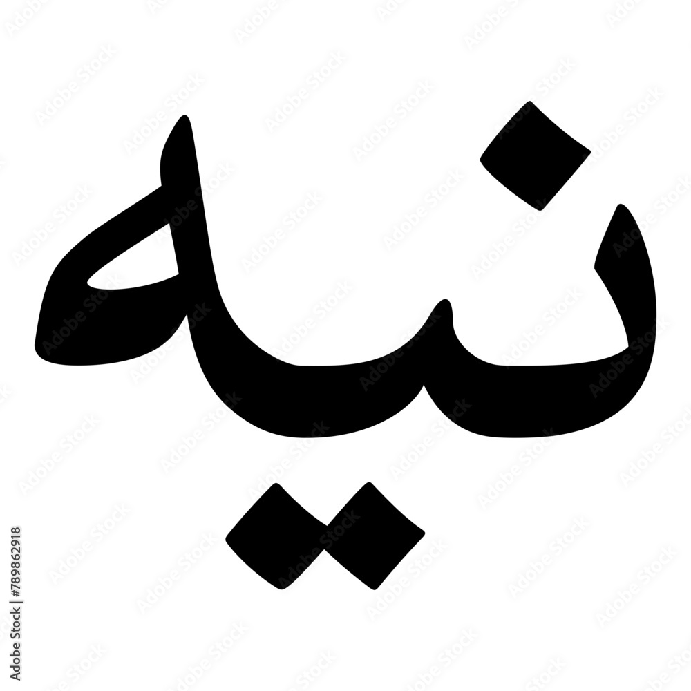 Noya Muslim Girls Name Naskh Font Arabic Calligraphy Stock Vector ...