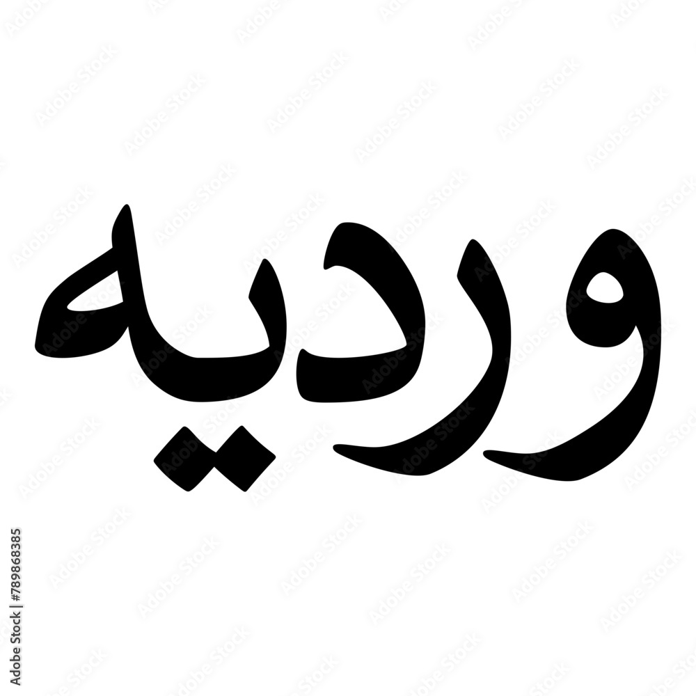 Wardiyyah Muslim Girls Name Naskh Font Arabic Calligraphy Stock Vector ...