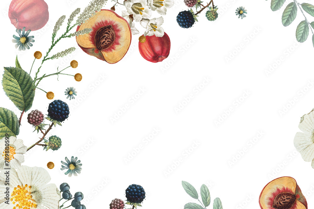 Vintage botanical png border frame transparent background Stock ...