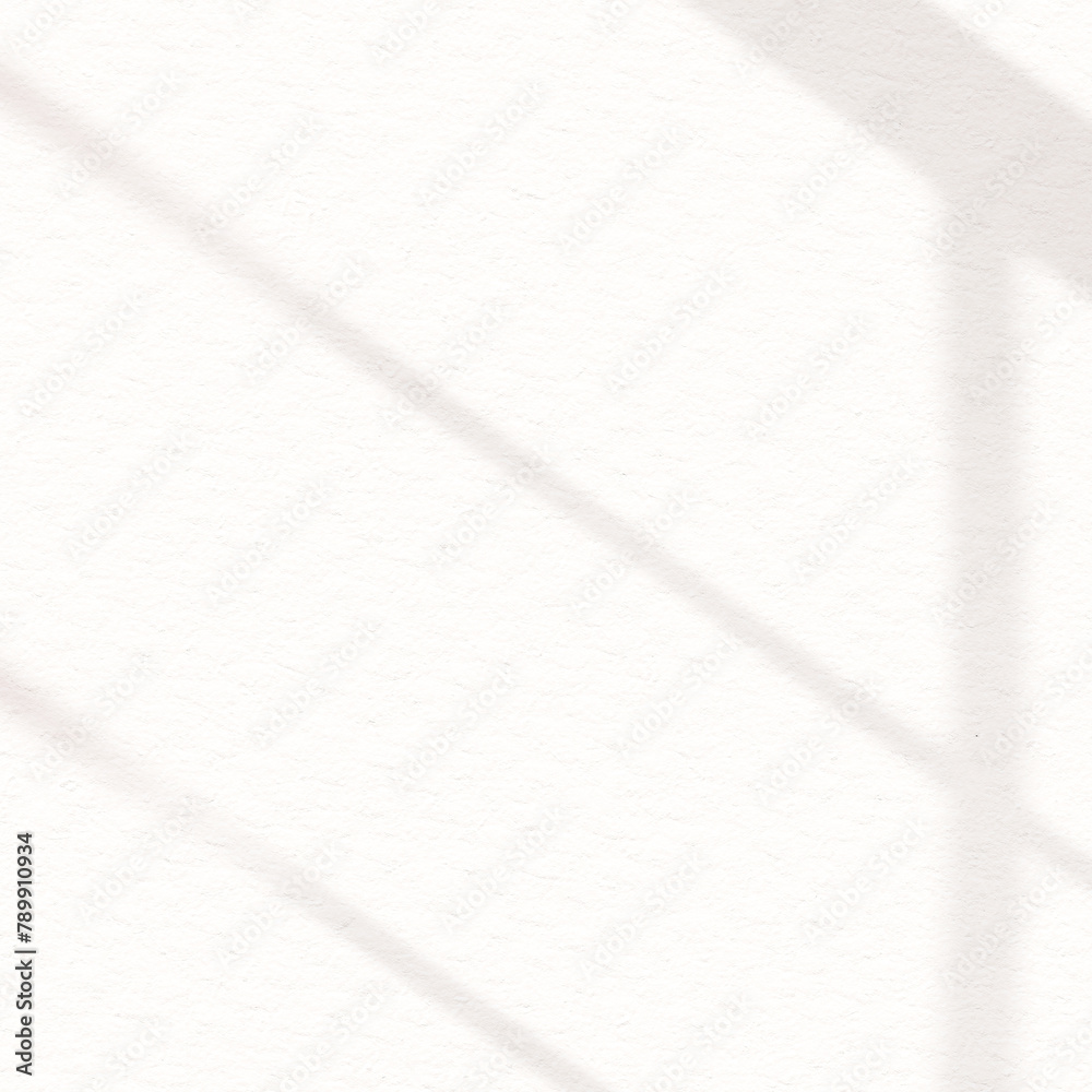 Aesthetic window shadow off white png on transparent background Stock ...