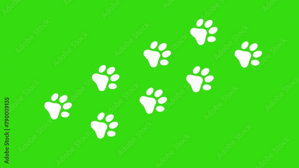 Dog Paw animation prints on green screen background. Journey of the dog ...
