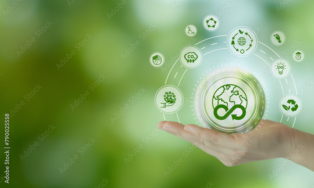 Circular economy and sustainability strategies concept. The sustainable ...