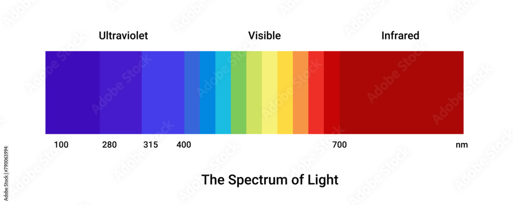 Spectrum light color scale. Ultraviolet led diagram with visible and ...