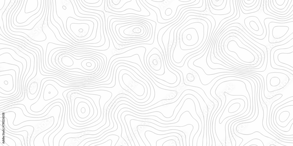 Vector geography landscape Topo contour map on white background ...
