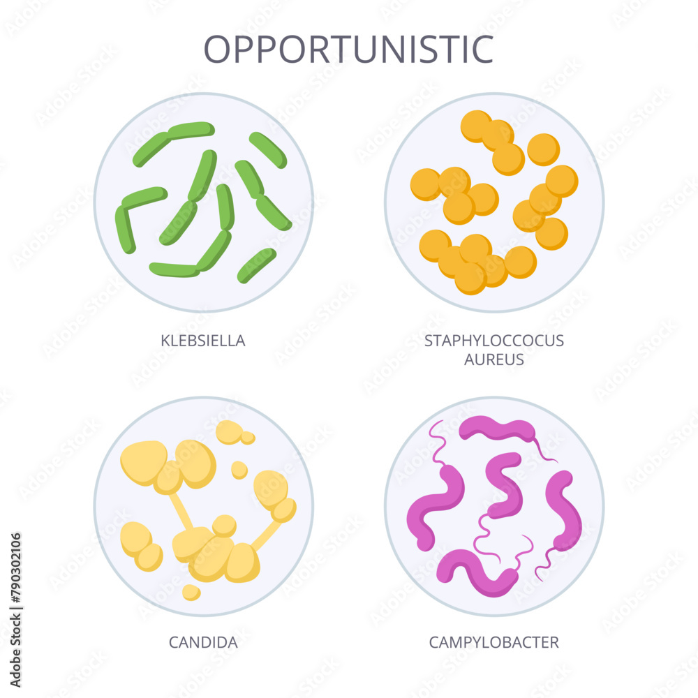 Cartoon opportunistic bacteria. Biological microorganism, opportunistic ...
