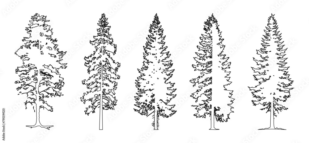 Flat vector trees set stroke outline. Tree icons are set in a modern ...