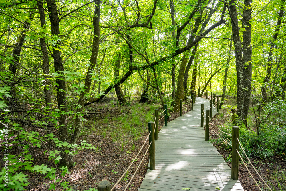 Marmaris, Gunnucek Nature Park is home to many endemic plant species ...