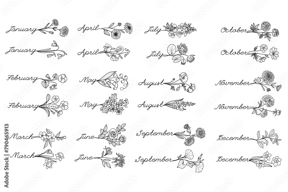 Birth-month flowers with month names, hand drawn, vector Stock Vector ...