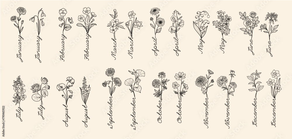 Birth-month flowers with month names, hand drawn, vector Stock Vector ...