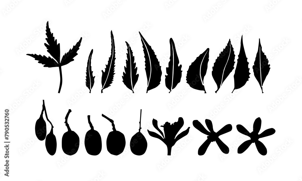neem imprints leaves design. neem leafs vector. neem silhouette vector ...