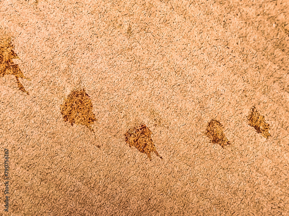 cardboard paper with water splash texture vector background Stock ...