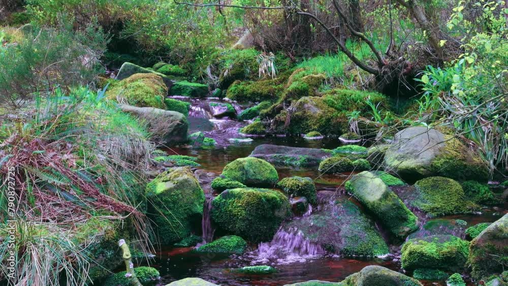 Slow moving forest stream waterfall, nature's serenity scene with ...