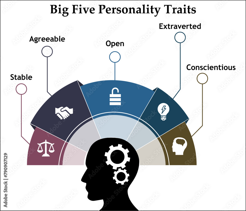 Big Five personality Traits - Stable, Agreeable, Open, Extraverted ...