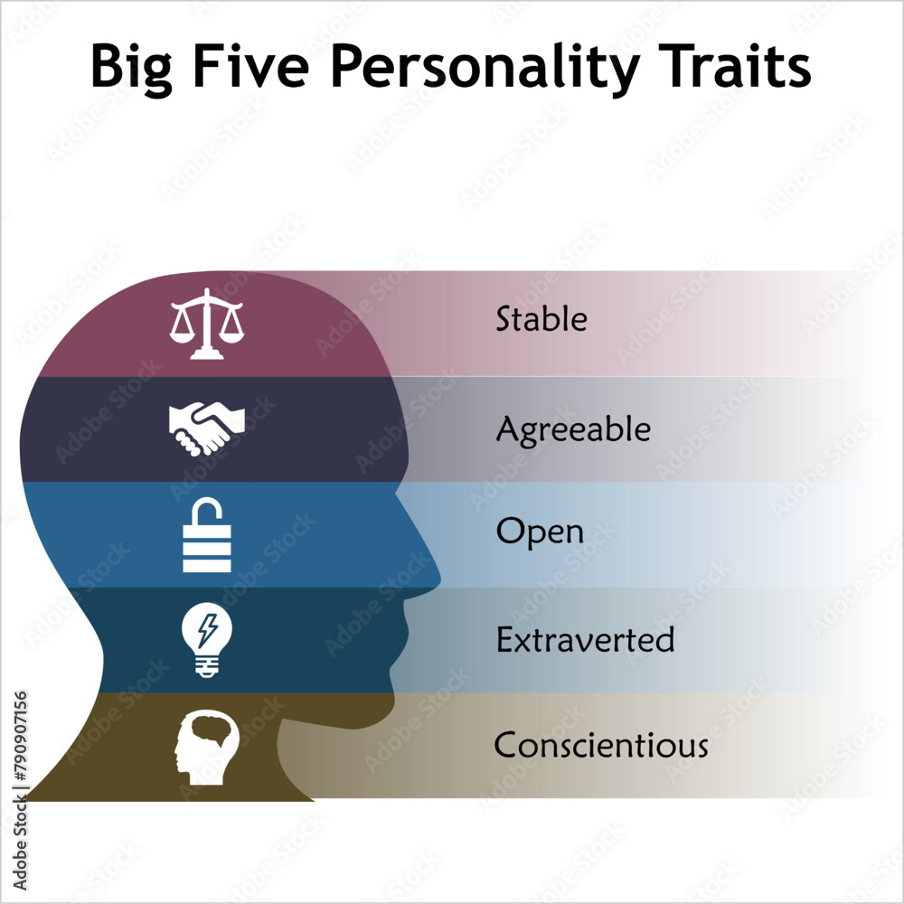 Big Five personality Traits - Stable, Agreeable, Open, Extraverted ...