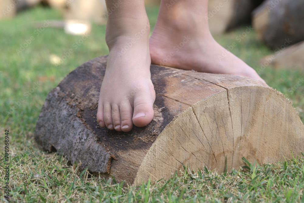 Child feet on wood log, barefoot little girl on tree trunk, countryside ...