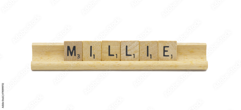 Miami, FL 4-18-24 popular baby girl first name of MILLIE made with ...