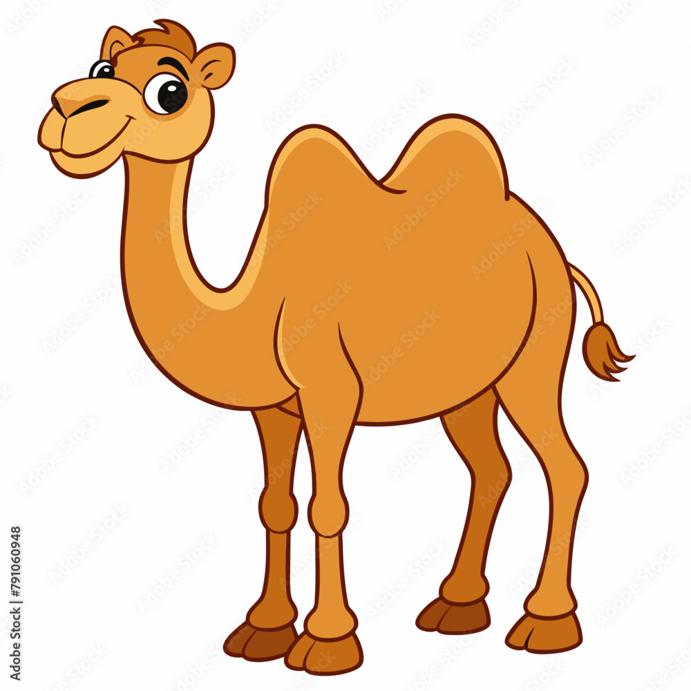 Bactrian camel, a camel has two humps, in full growth, completely ...