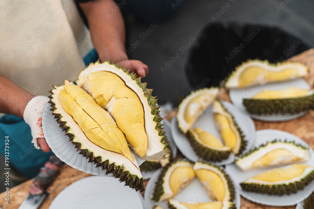 Close up farmer handle durian show the yellow durian meat to eat with ...