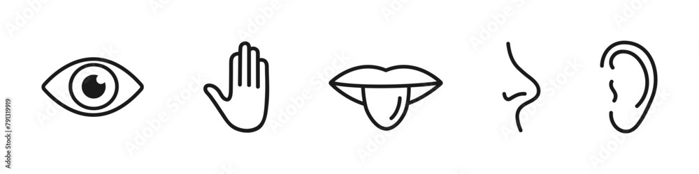 Five senses vector icons. Human sense icons. Vision, smell, hearing ...