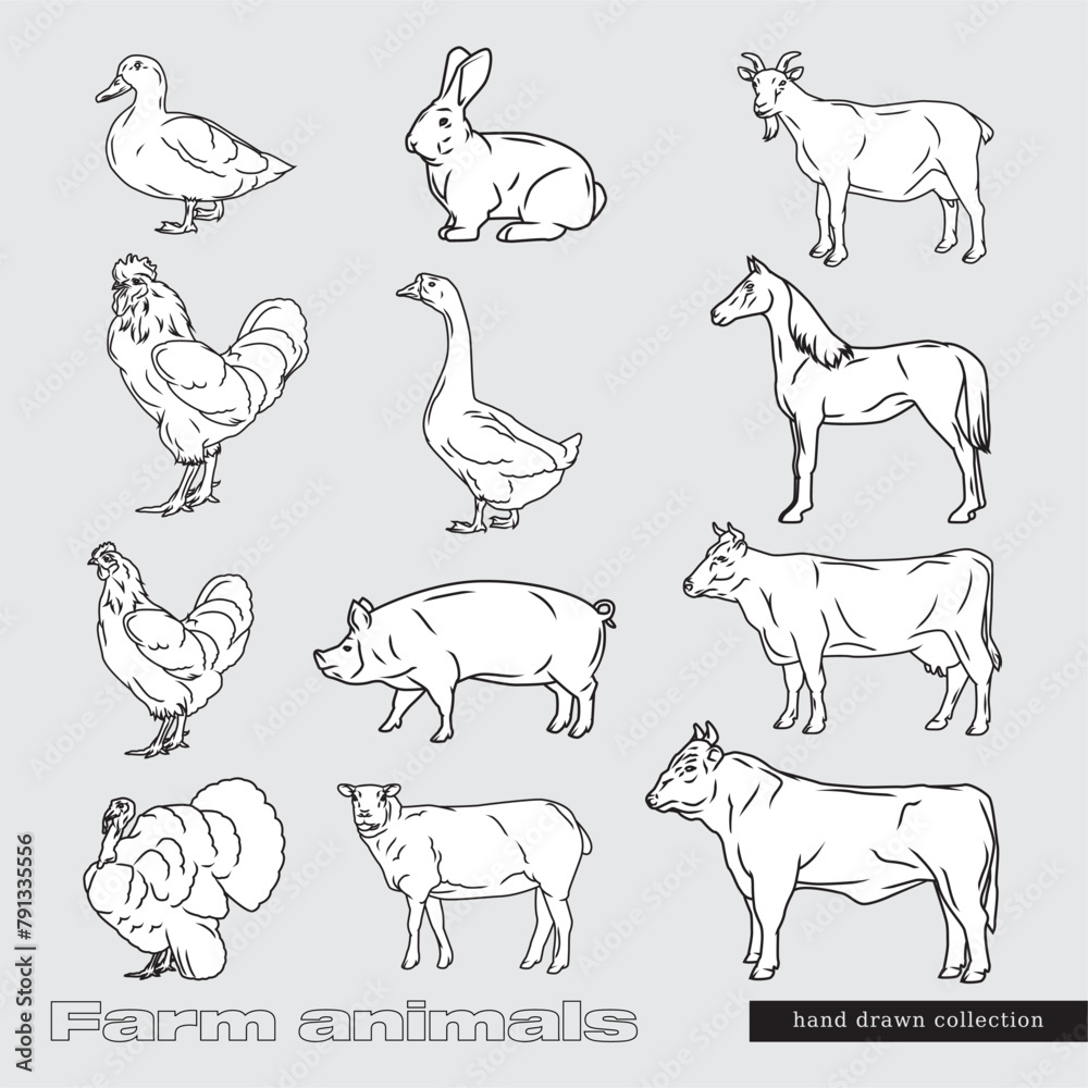 Farm animals vector illustration. Cow, pig, chicken, sheep, goat ...