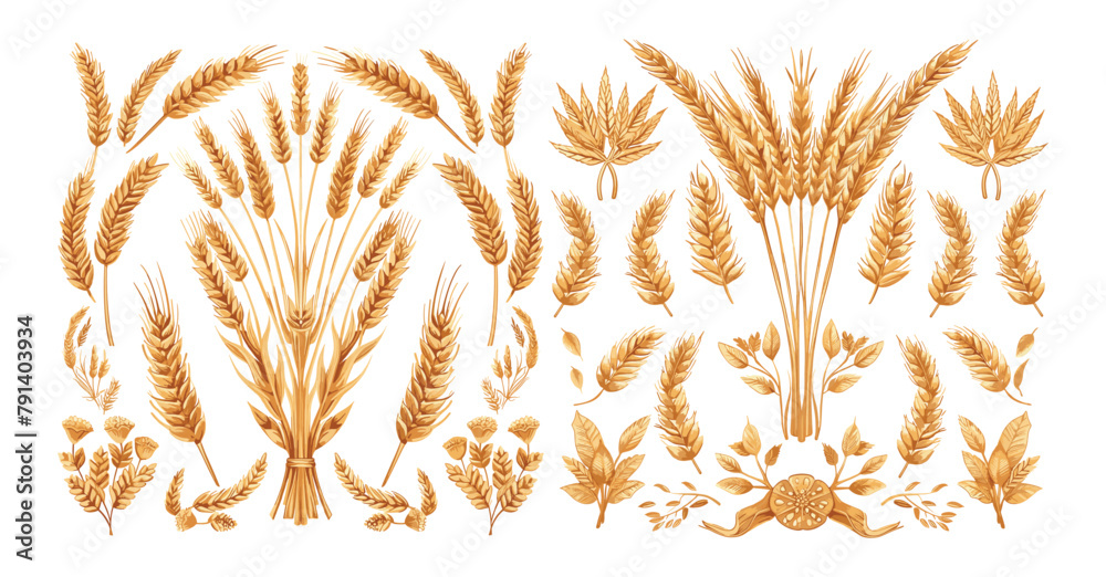 Vecteur Stock Wheat rye ears cartoon vector collection. Malt grains ...