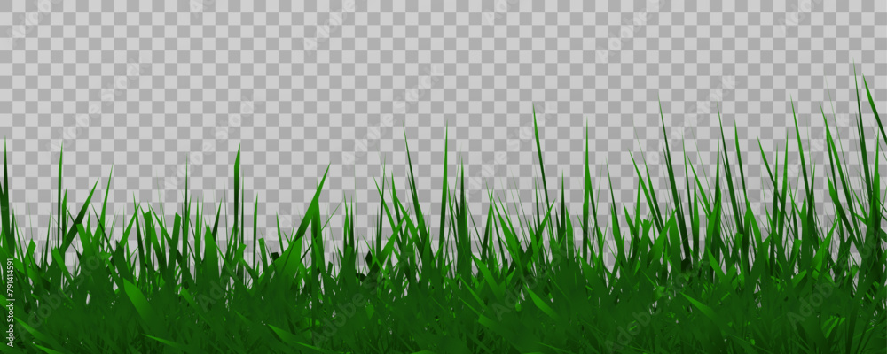 Vetor de Grass border, vector illustration. Vector grass, lawn. Grass ...
