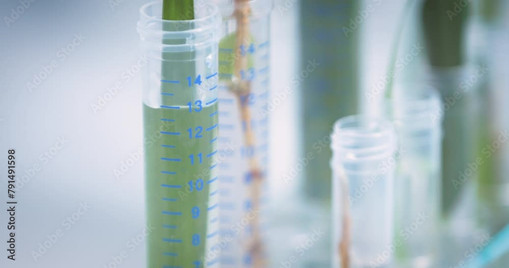 Test tubes leaf experiment with green nature organic plants, herbs and ...