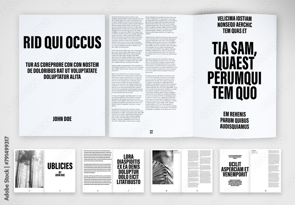 Bold Monochromatic Color Scheme Brochure Layout Stock Template | Adobe ...