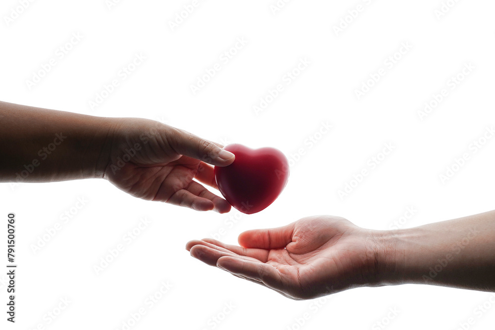 Adult hands giving a red heart, health care, organ donation, family ...