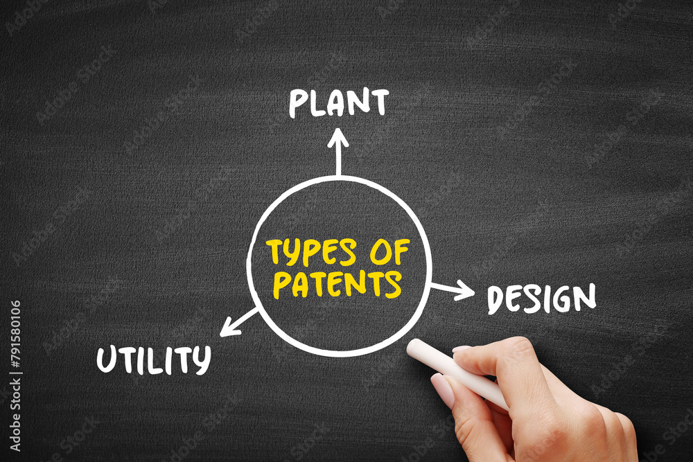 Poster Types of Patents (exclusive right granted for an invention) mind ...