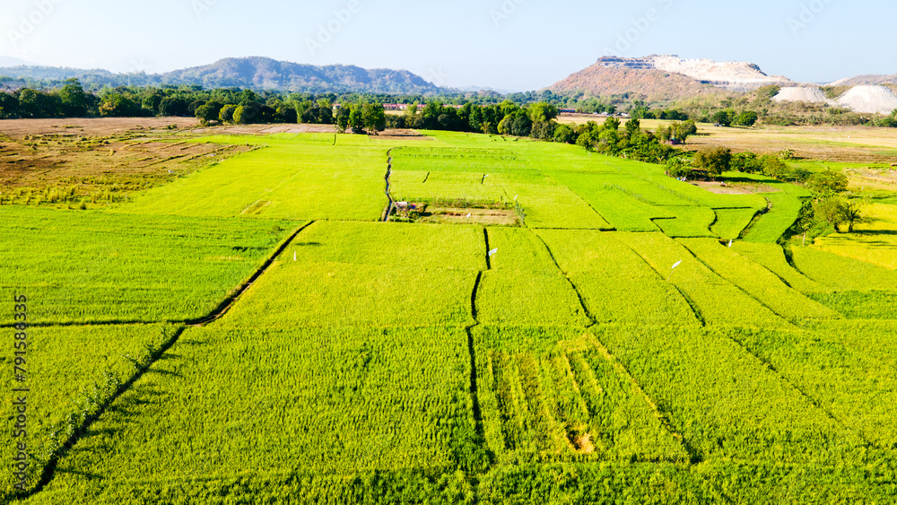 Green Rice field ecological with farmer in Rizal Philippine Stock Photo ...