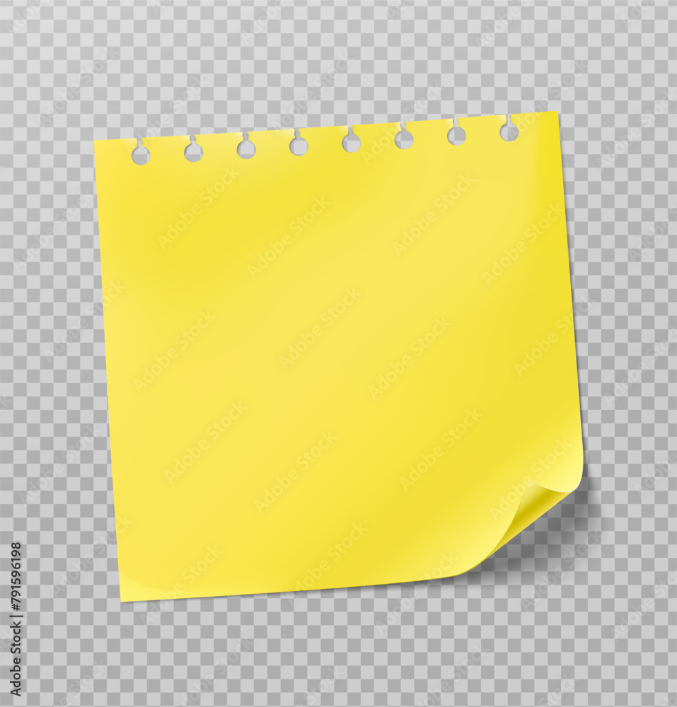 Notepad paper with ripped edge on transparent background. Vector ...