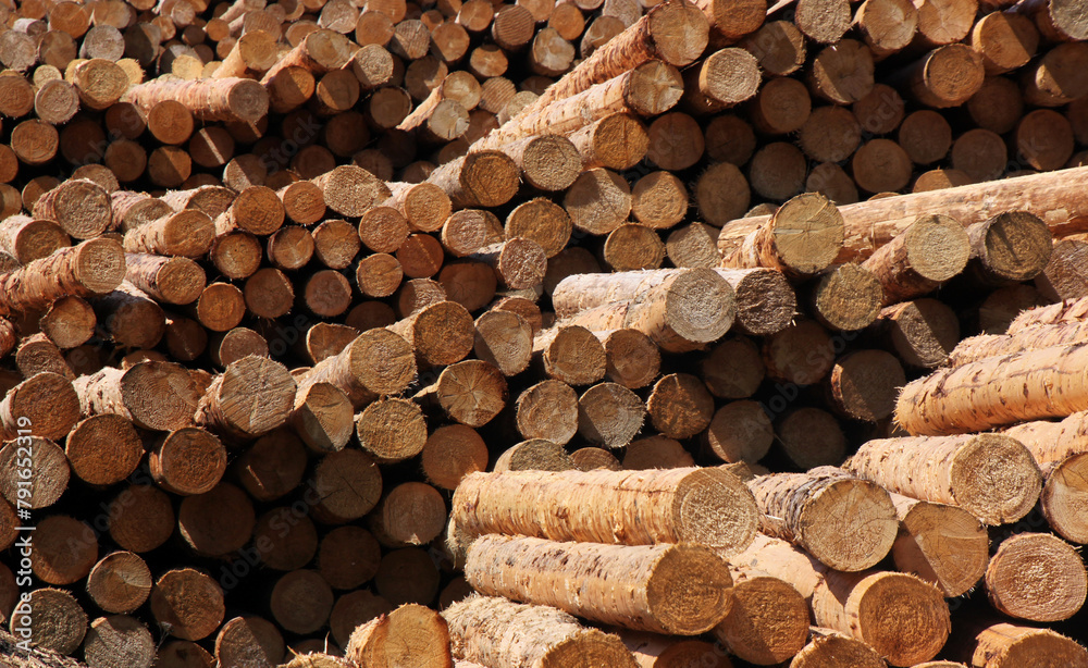 Pile of stacked debarked tree trunks stored at a sawmill in the Eifel ...