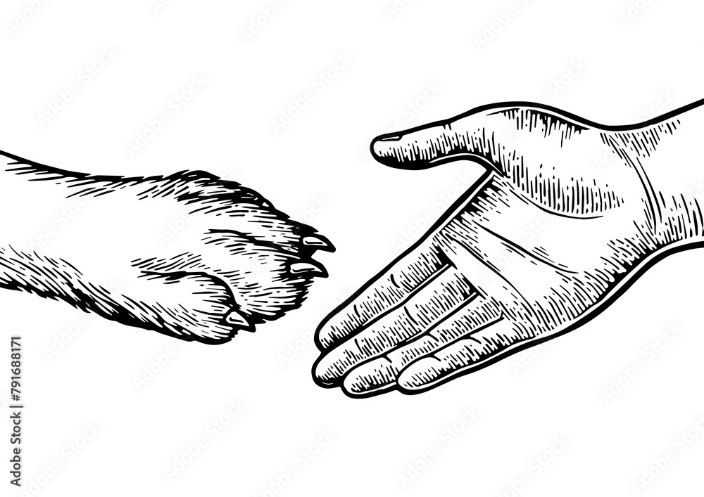 Human hand and dog paw handshake engraving PNG illustration. Scratch ...
