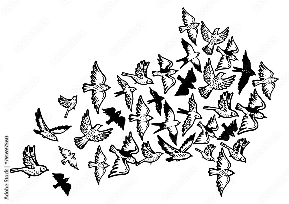 Birds flying in form of arrow symbol engraving PNG illustration ...