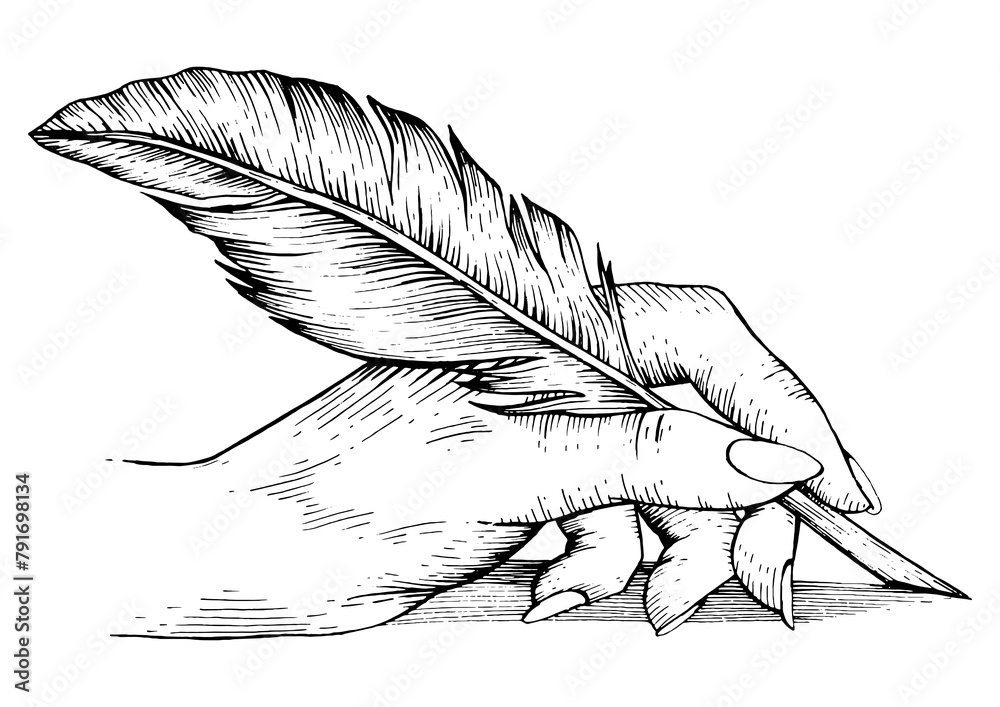 Hand writing with pen feather sketch engraving PNG illustration ...